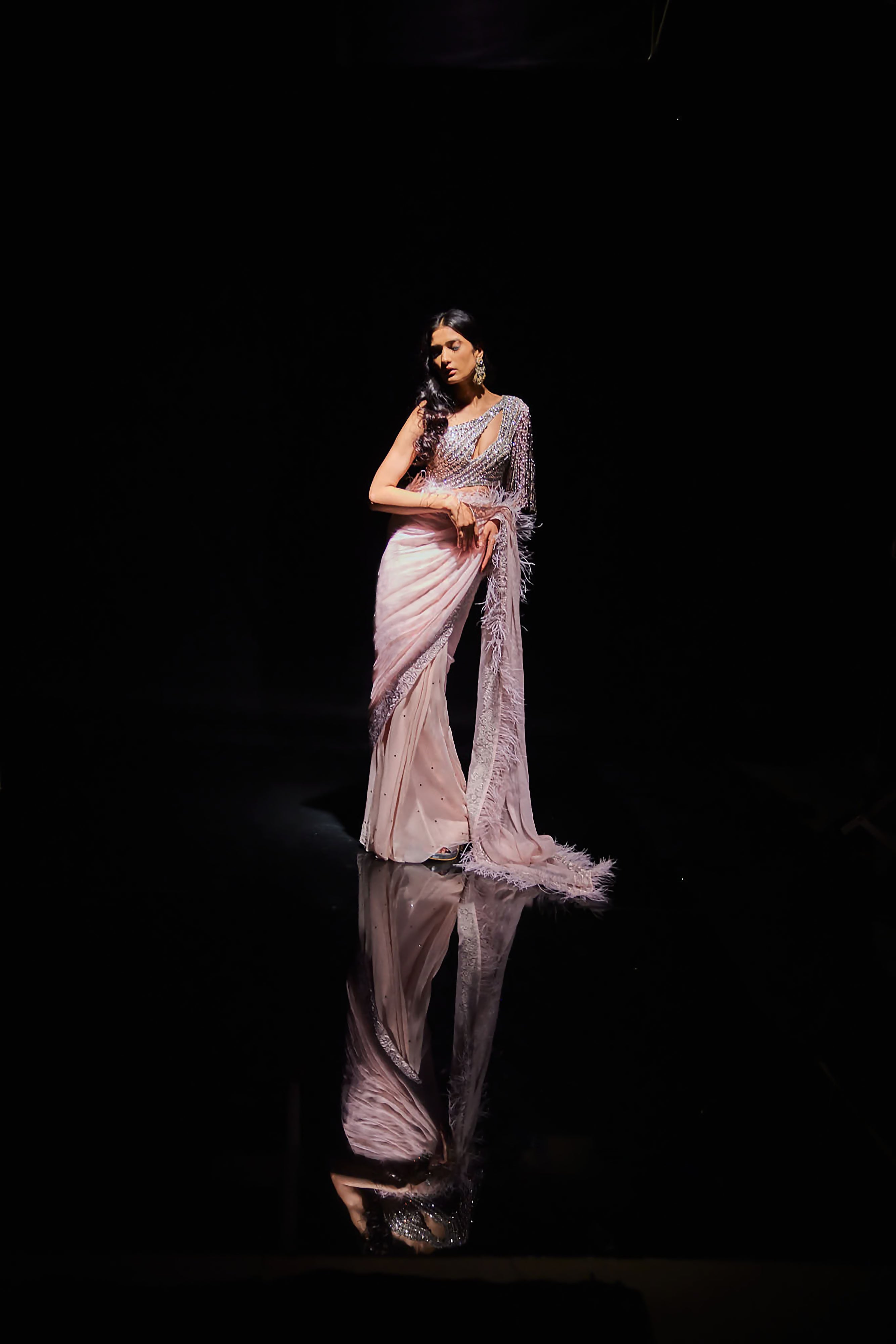 Parsi Gara Feather Saree – Monisha Jaising
