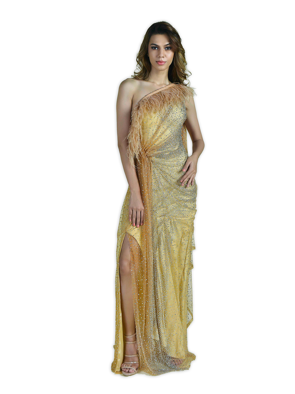 Dazzle Saree – Monisha Jaising